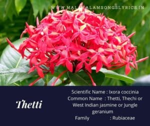 Kerala Flowering Plants with Pictures - Malayalam Songs Lyrics